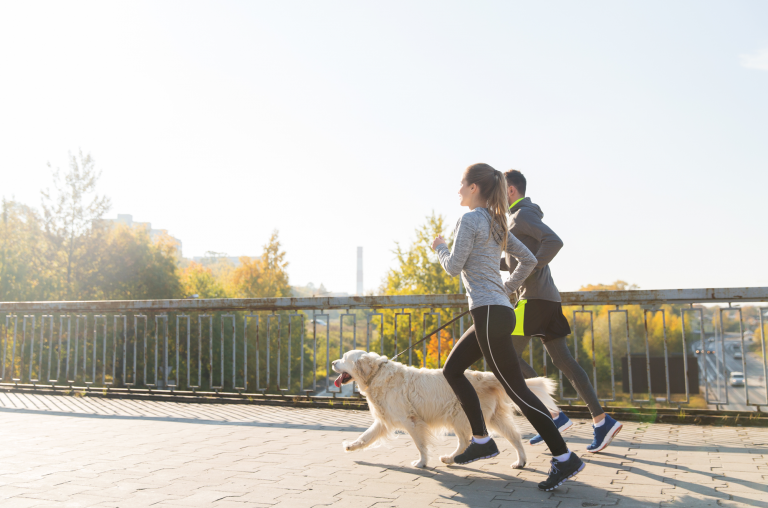 Workout | Dog | Exercise | Pets | NWC Naturals® Blog